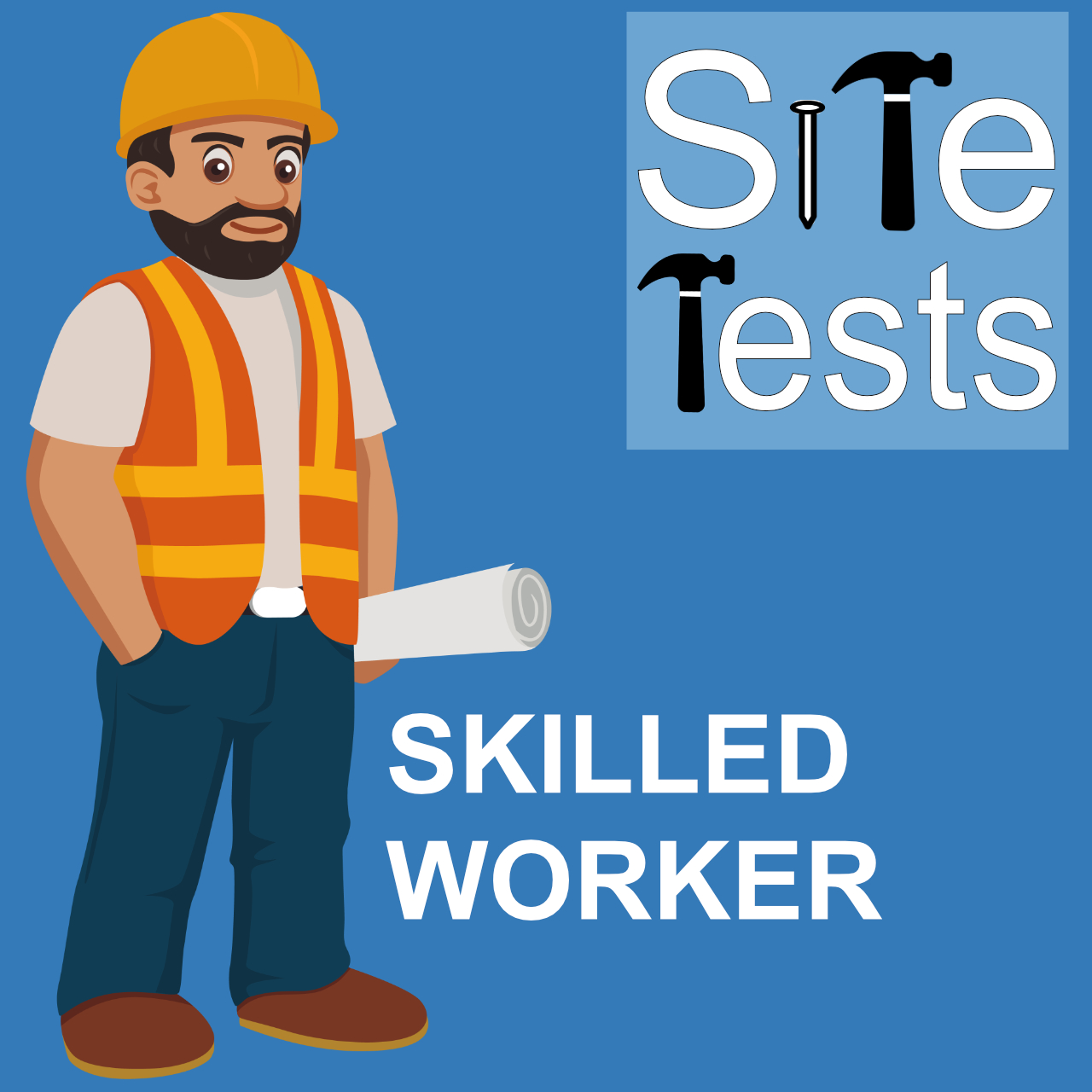 SKILLED BLUE CARD - sitetests
